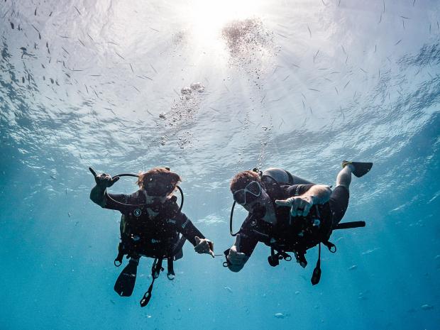 The Ultimate Guide to Scuba Diving: Training, Safety Tips – Spinnaker ...
